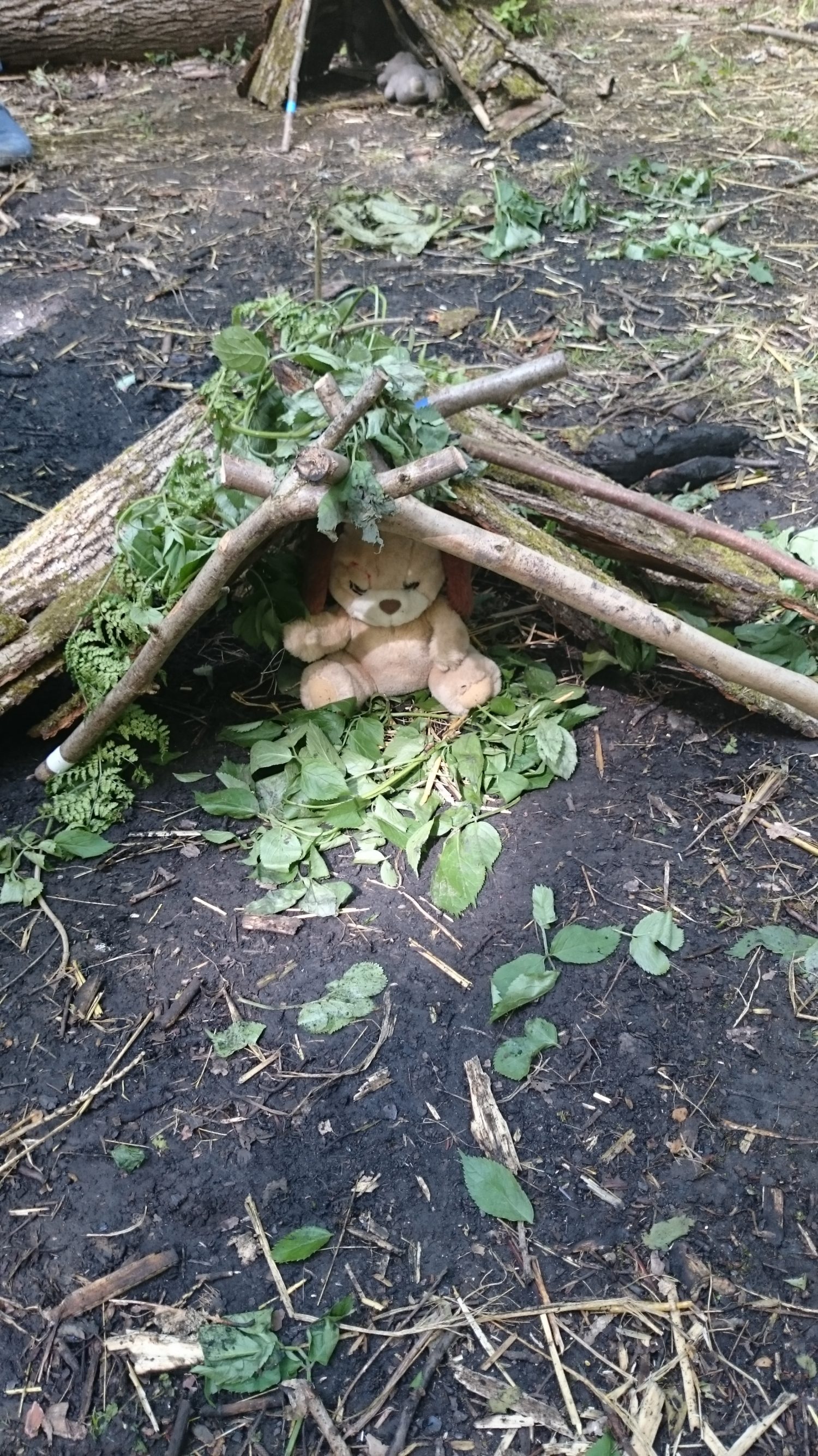 Bushcraft Challenge Activity Day - WiseUp Team Building